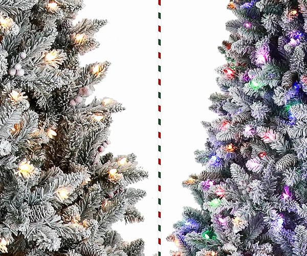 Christmas Tree Lighting Colours Explained: Your Complete Guide – Vivatrees
