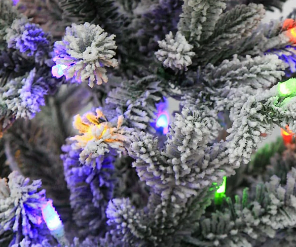 How to Properly Fluff and Shape Your Christmas Tree – Vivatrees