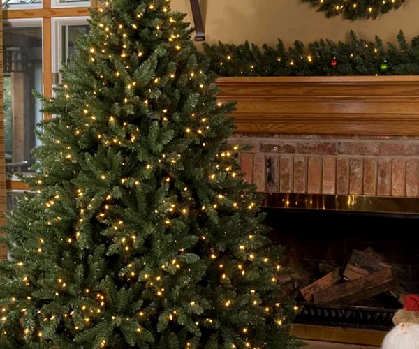Christmas Tree Size Guide:Tips for a Perfect Fit – Vivatrees